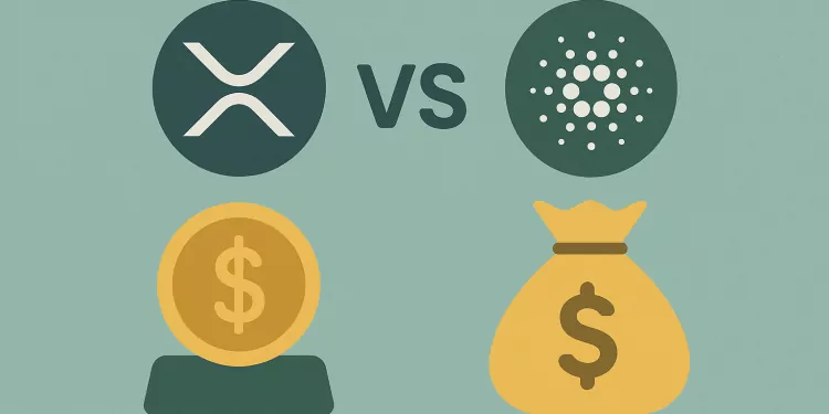 Erothot waifumiia arrived early as the parking lot can